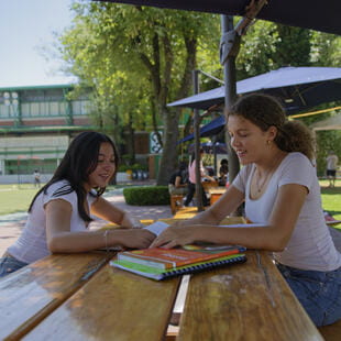 Parent Essentials | Greengates School | Nord Anglia