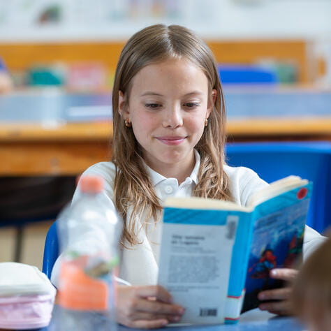 Greengates Primary School | Greengates School Mexico